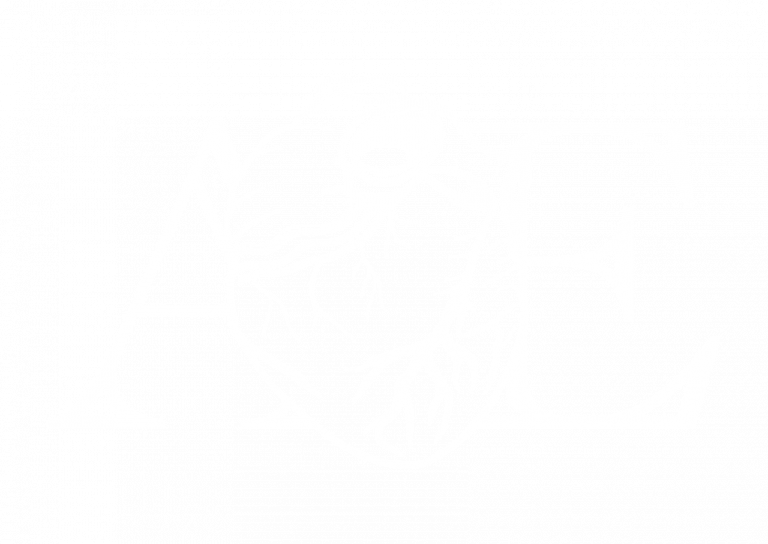 Iatrogenic biatrial flutter. The role of the Bachmann’s bundle ...